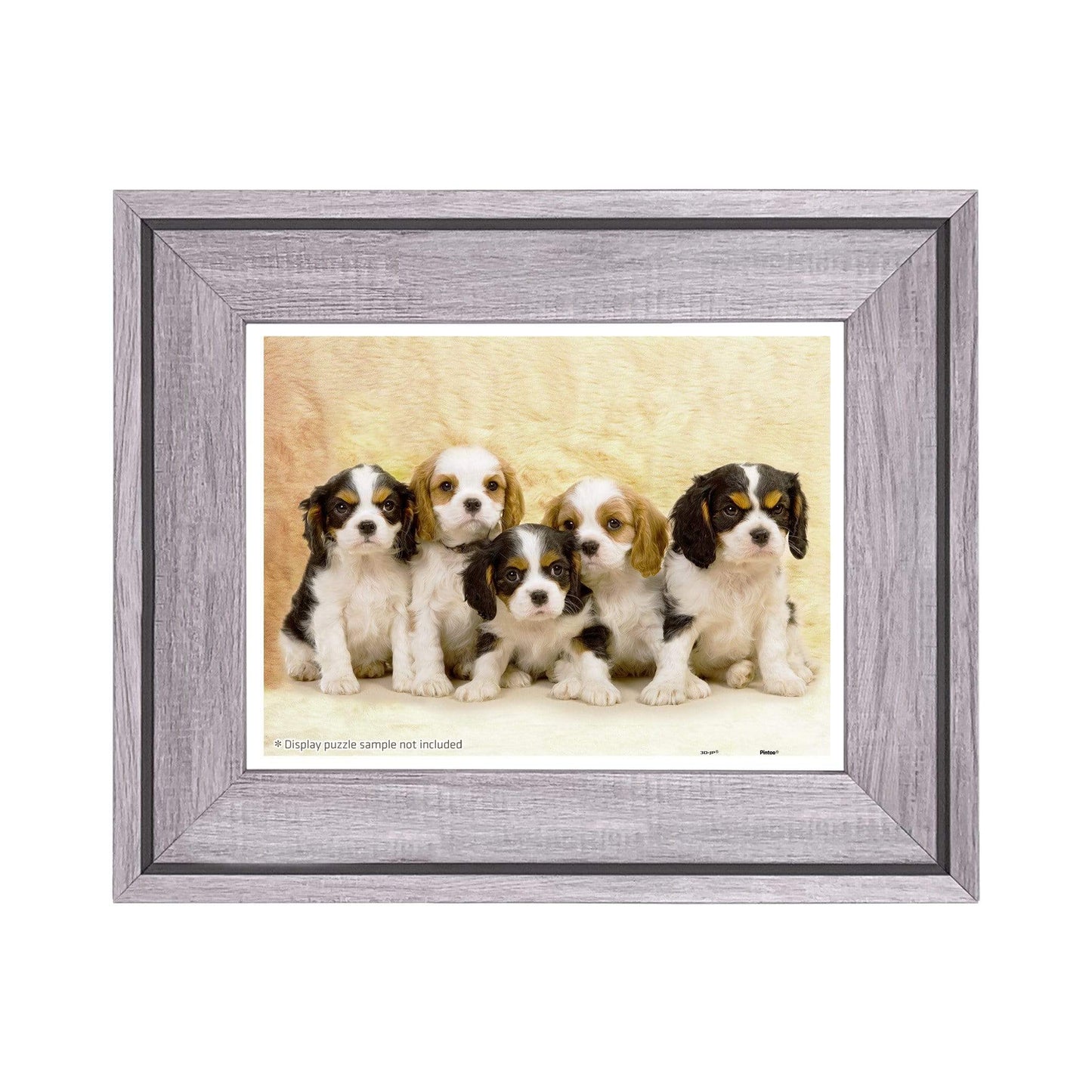 Zephyr Professional Jigsaw Puzzle Frame (300pcs) | Pintoo – SHOWCASE ...